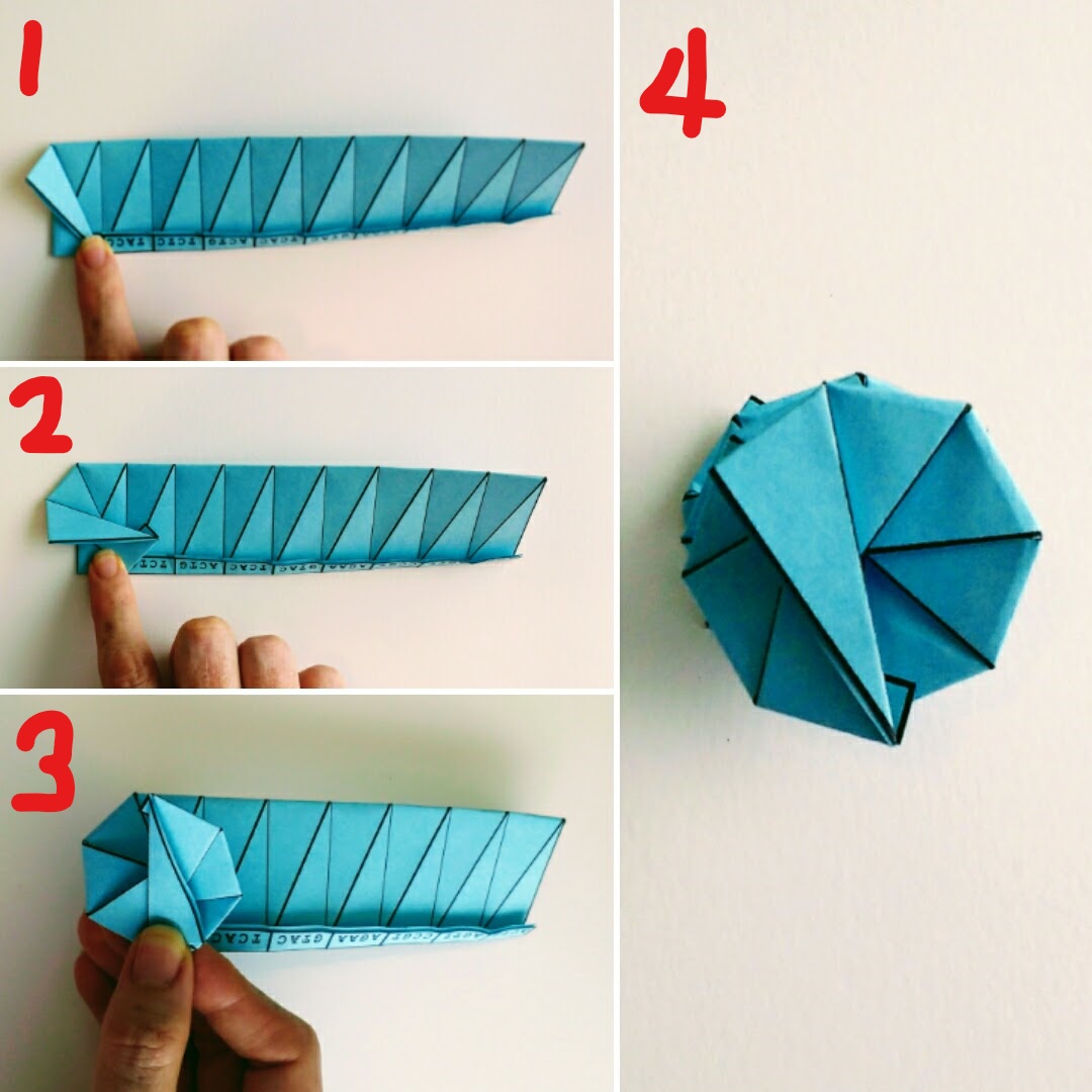 Dna Origami Emily Suvada